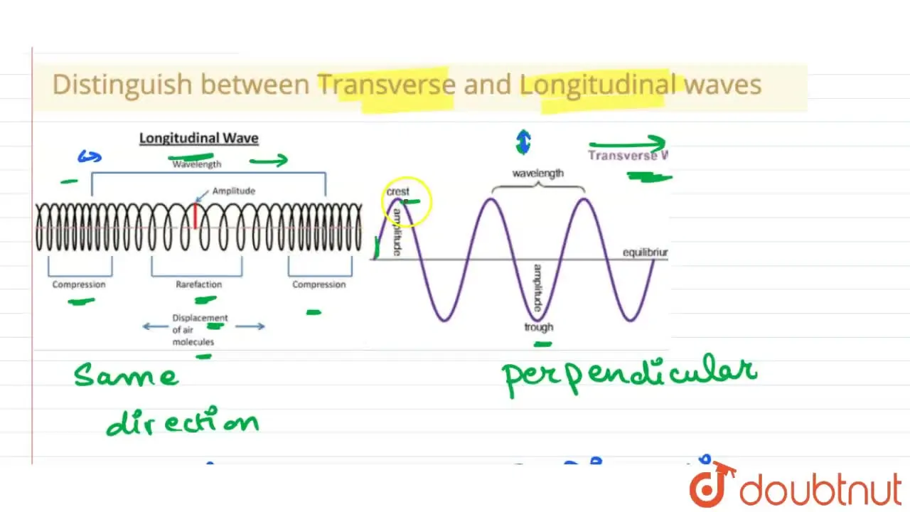 Distinguish between Transverse and Longitudinal waves