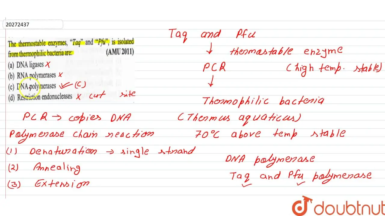 The thermostable enzyme , ''Taq'' and ''Pfu'', is isolated from therm