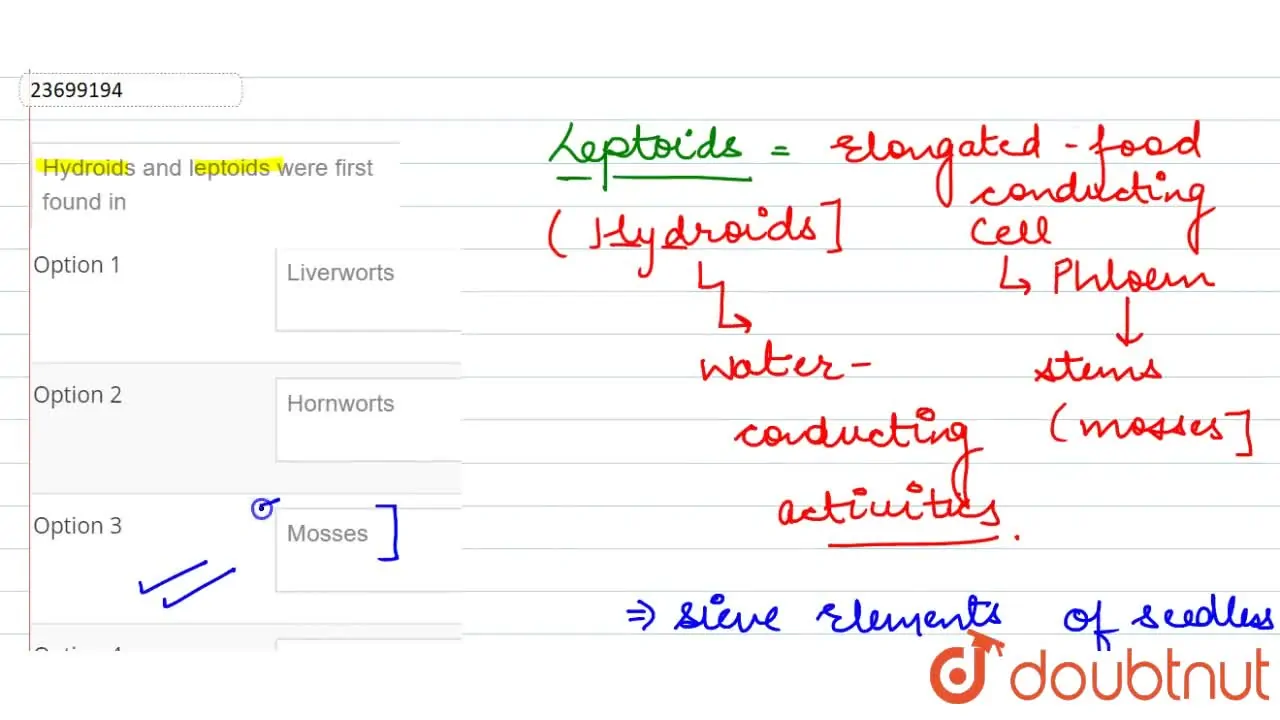 Hydroids and leptoids were first found in