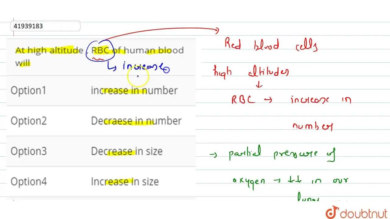 At high altitude , RBC of human blood will