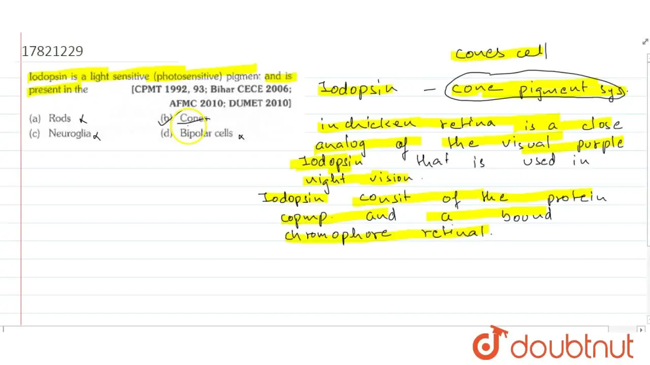 Iodopsin is a light sensitive (photosensitive) pigment and is present
