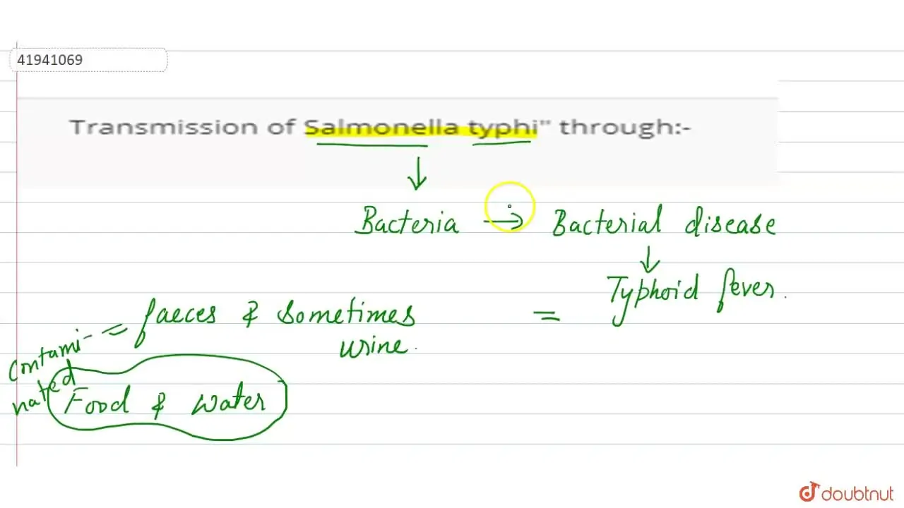 Transmission of Salmonella typhi" through:-