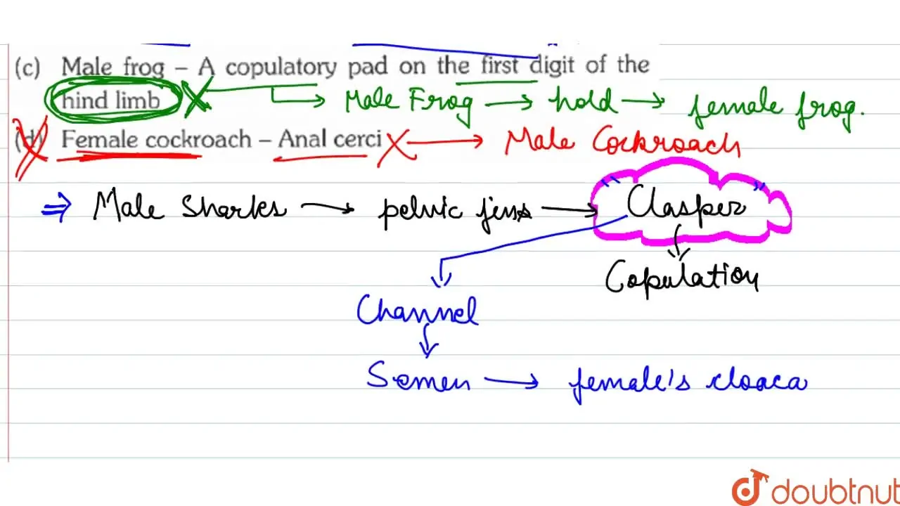 Male frog - A copulatory pad on the first digit of the hind limb