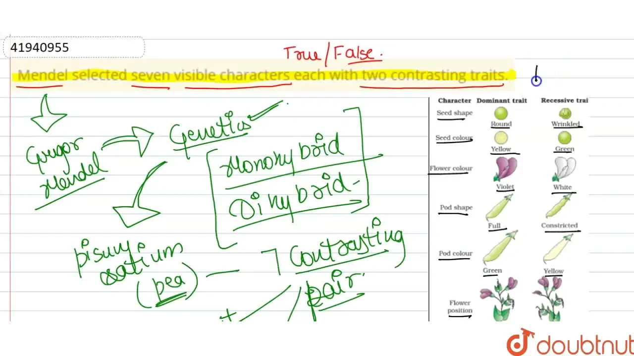 Mendel selected seven visible characters each with two contrasting tra