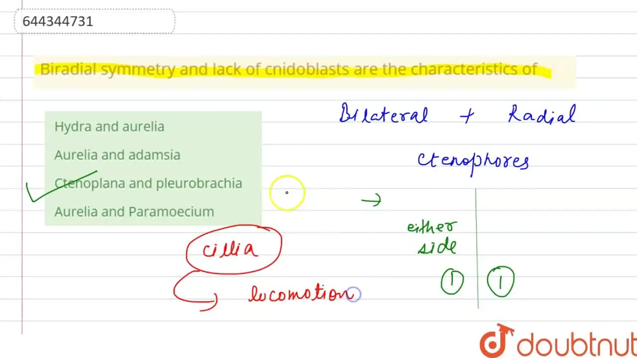 Biradial symmetry and lack of cnidoblasts are the characteristics of