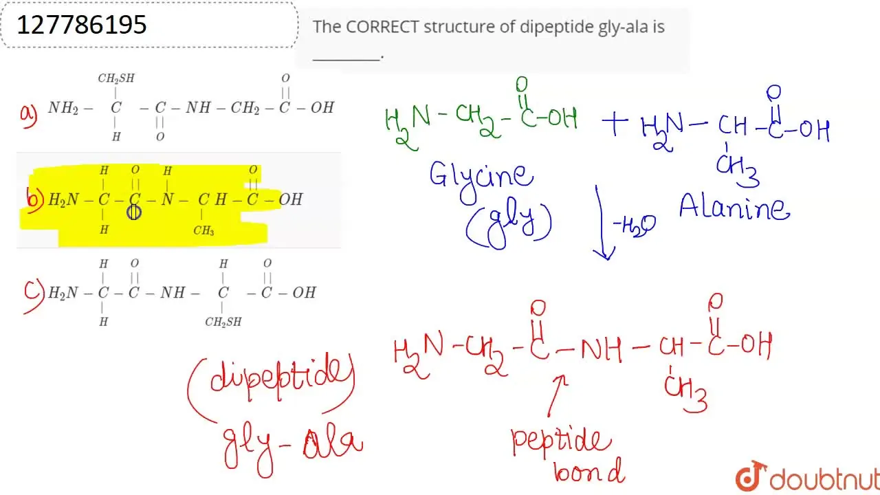 The CORRECT structure of dipeptide gly-ala is