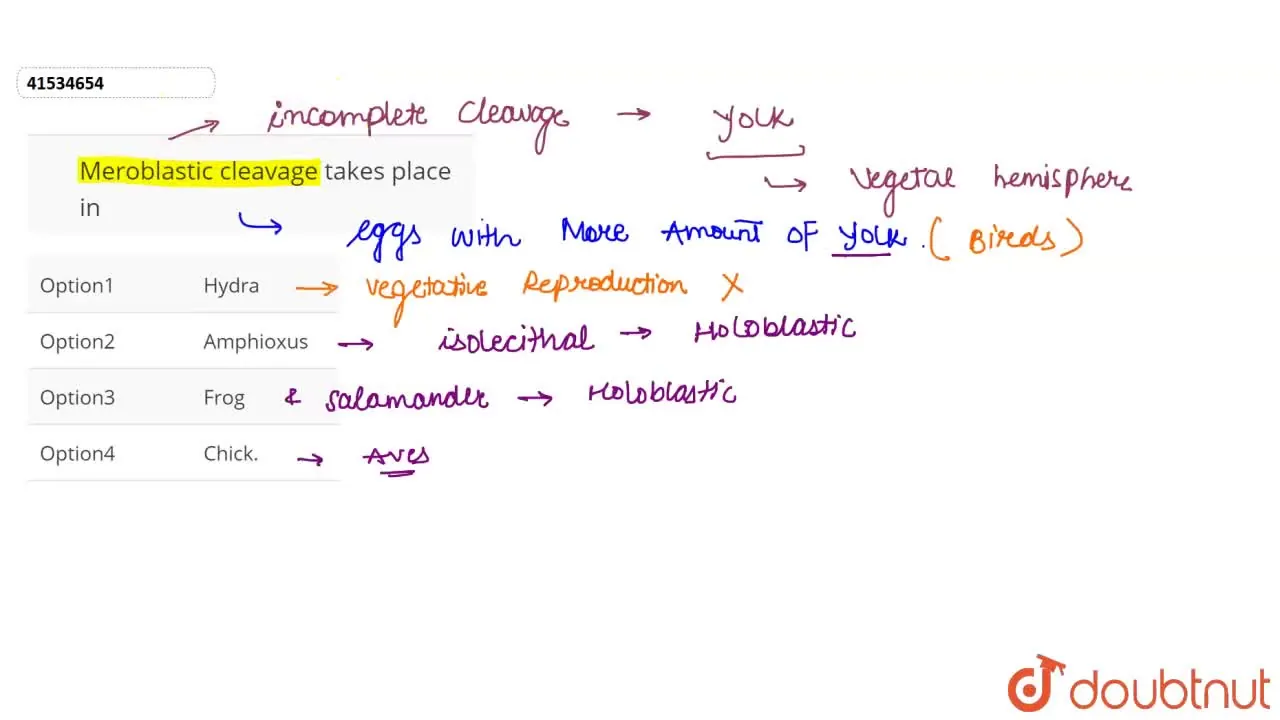 Meroblastic cleavage takes place in