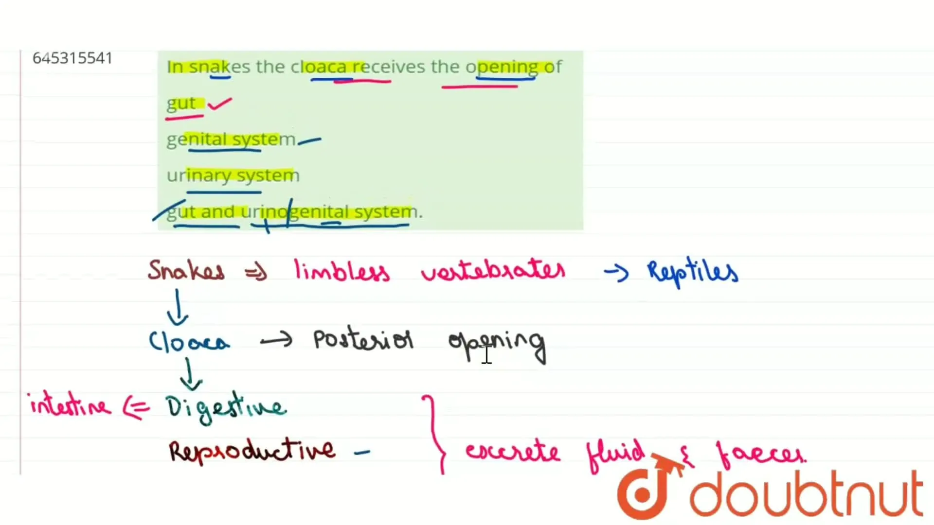 [Kannada Solution] In snakes the cloaca receives the opening of