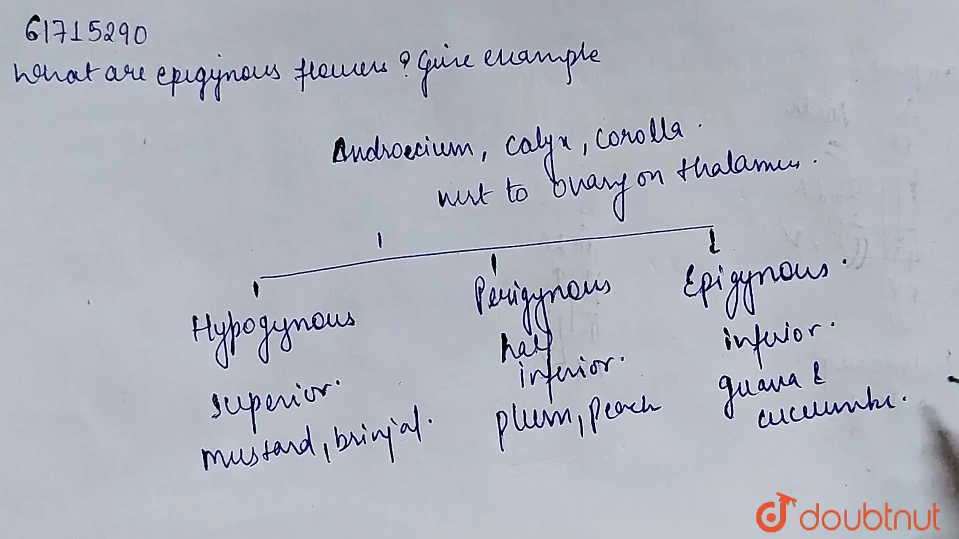 What are epigynous flowers? Give example