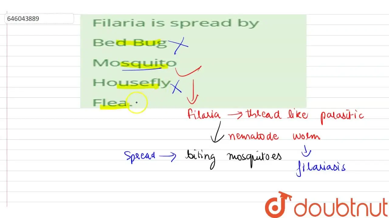 Filaria is spread by