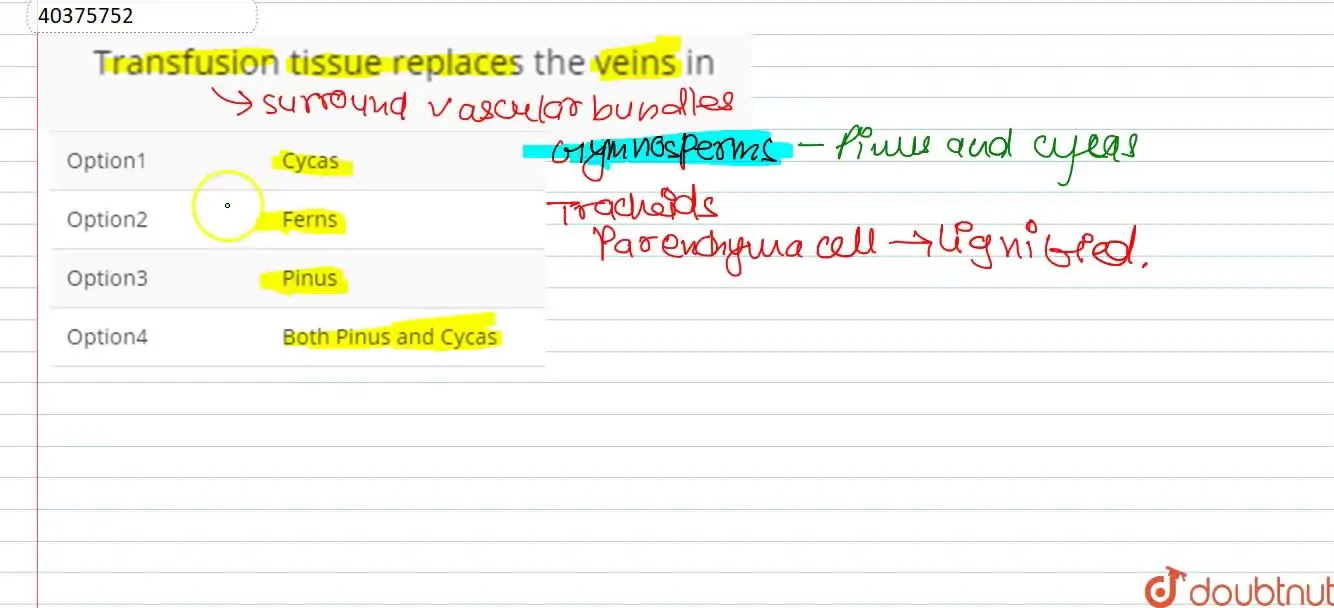 Transfusion tissue replaces the veins in