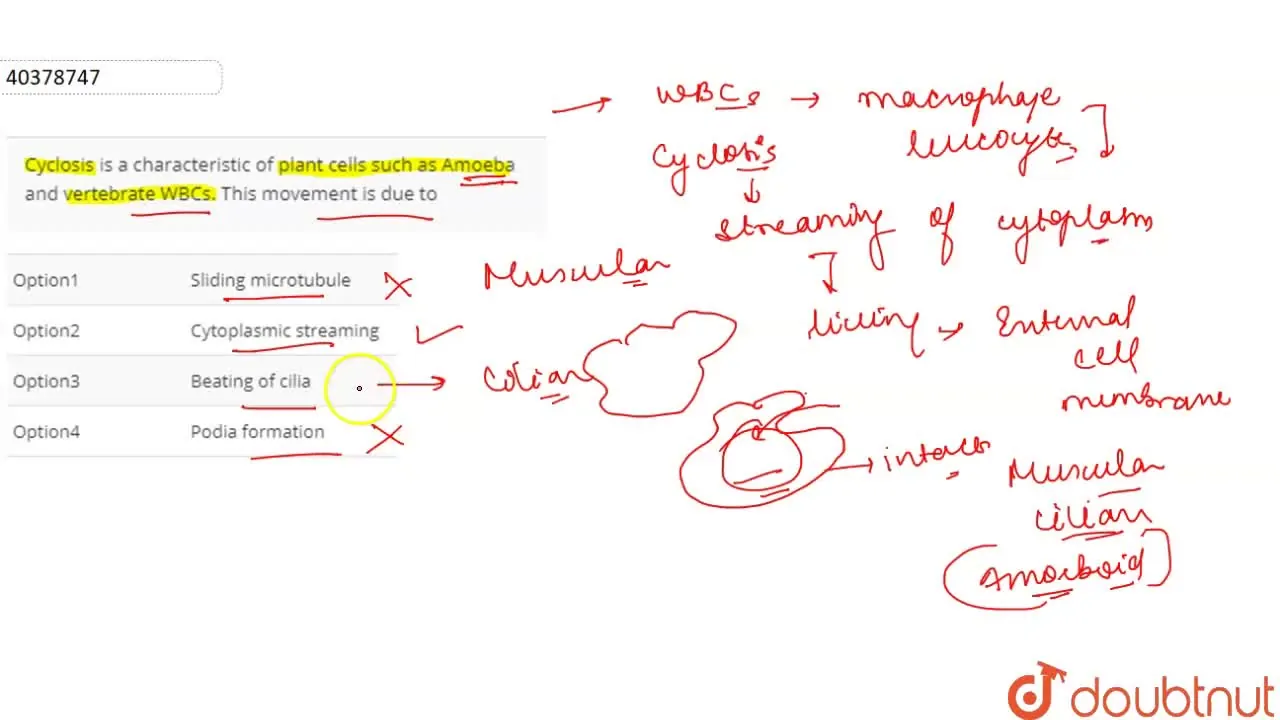 Cyclosis is a characteristic of plant cells such as Amoeba and ver