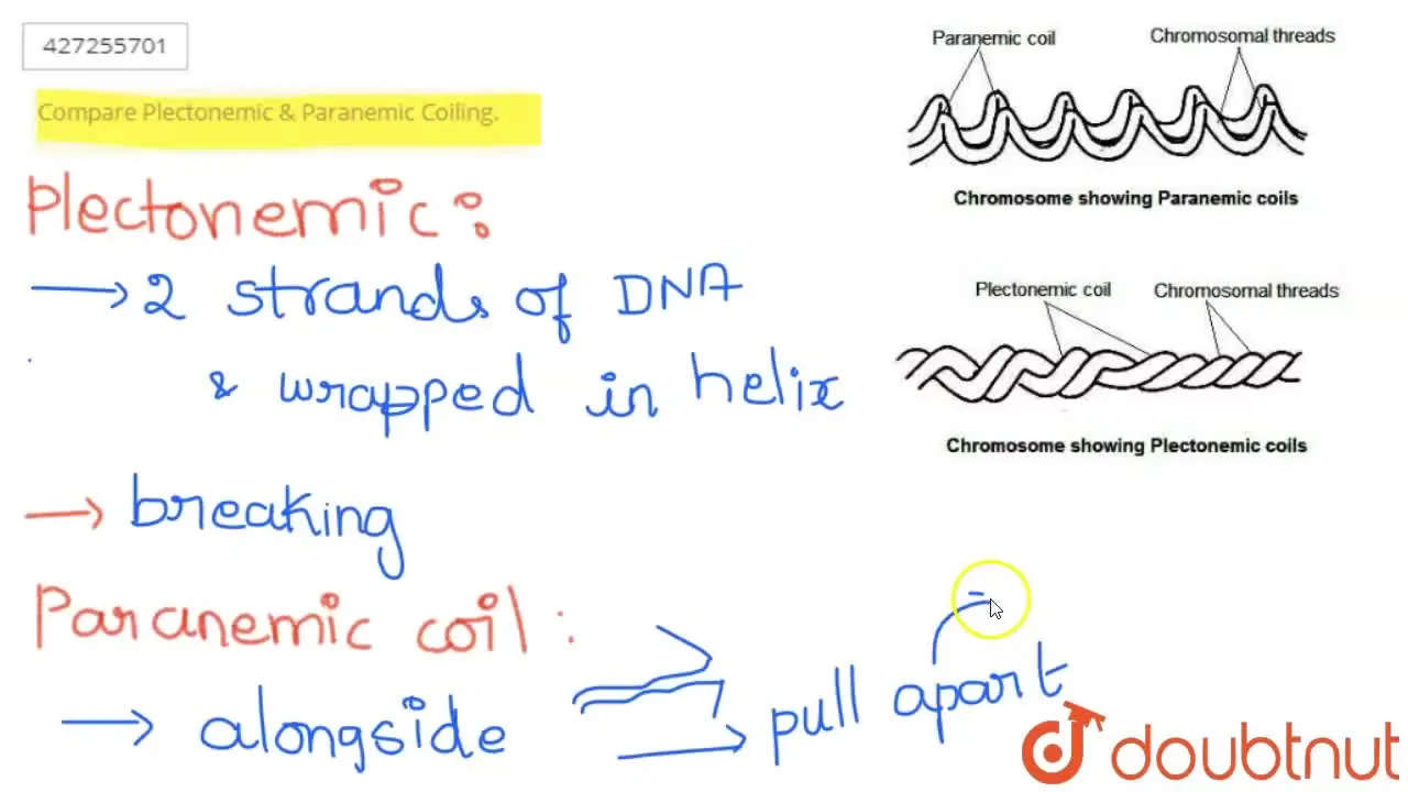 [Tamil Solution] Compare Plectonemic & Paranemic Coiling.
