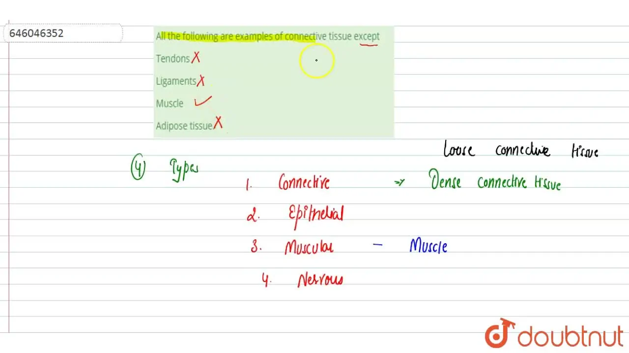 Skeletal muscle fibre is a "Syncytium" which means it is