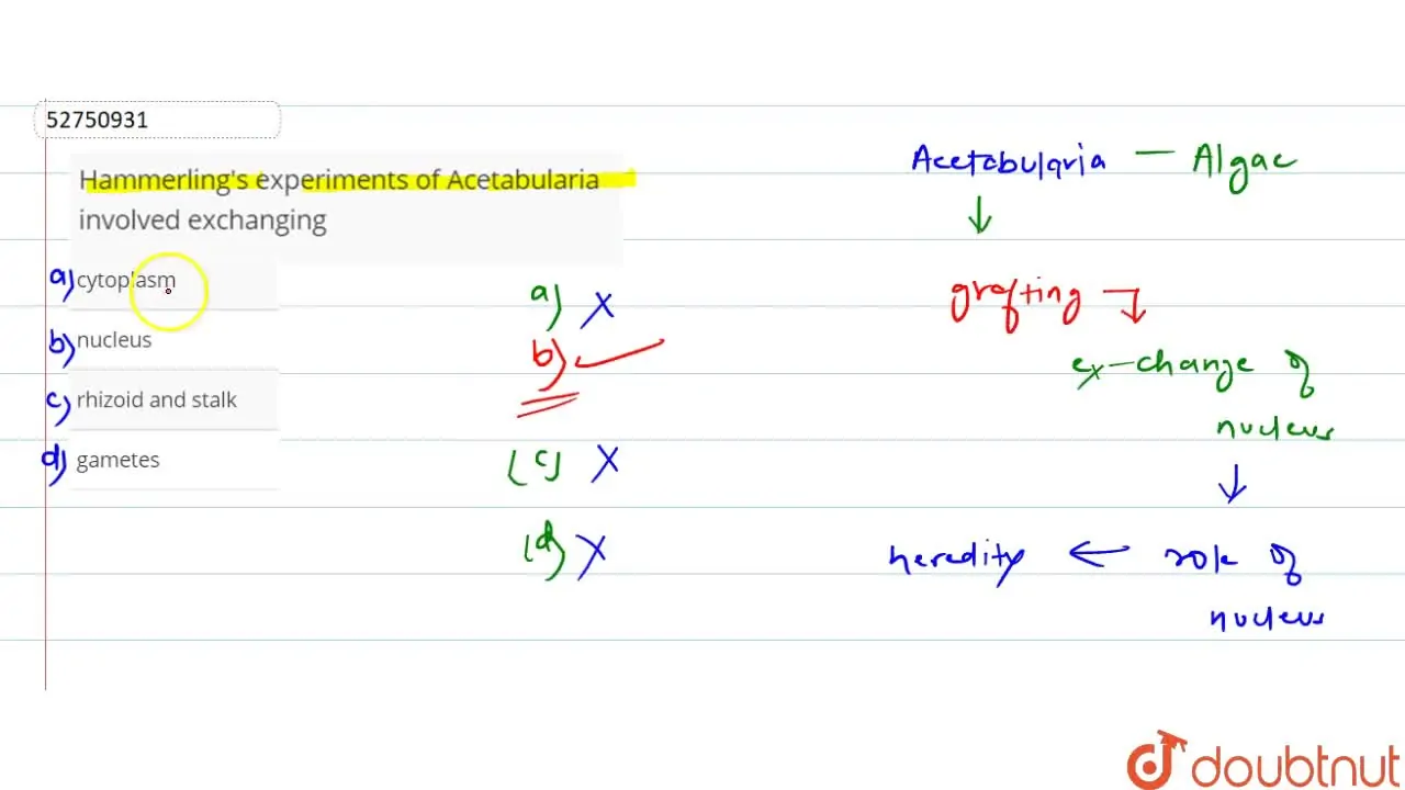 Hammerling's experiments of Acetabularia involved exchanging