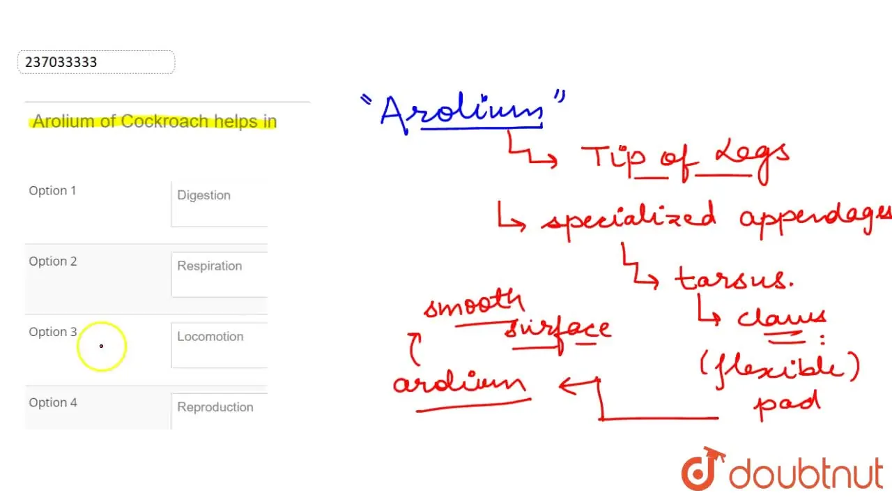Arolium of Cockroach helps in