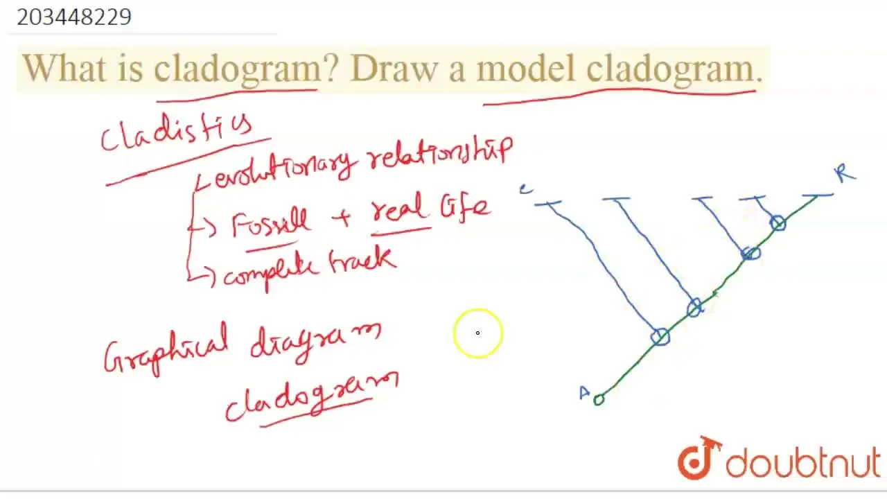 [Tamil Solution] What is cladogram? Draw a model cladogram.