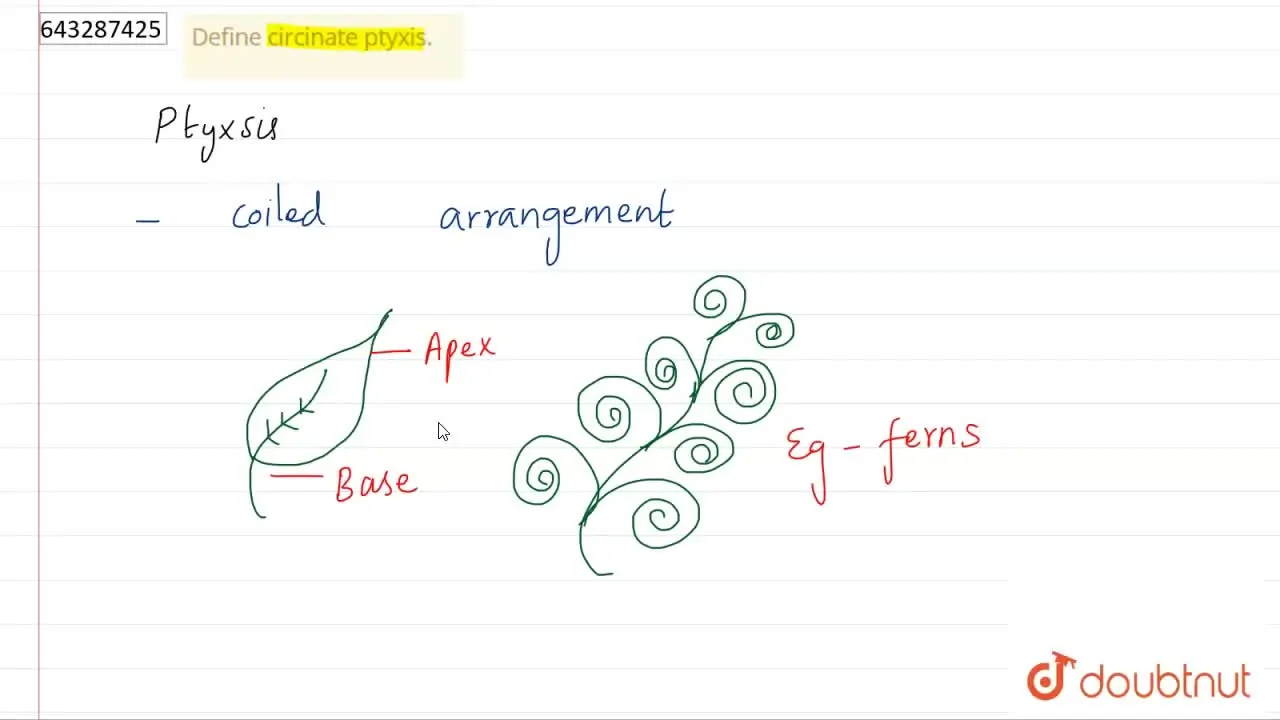 [Tamil Solution] Define circinate ptyxis.