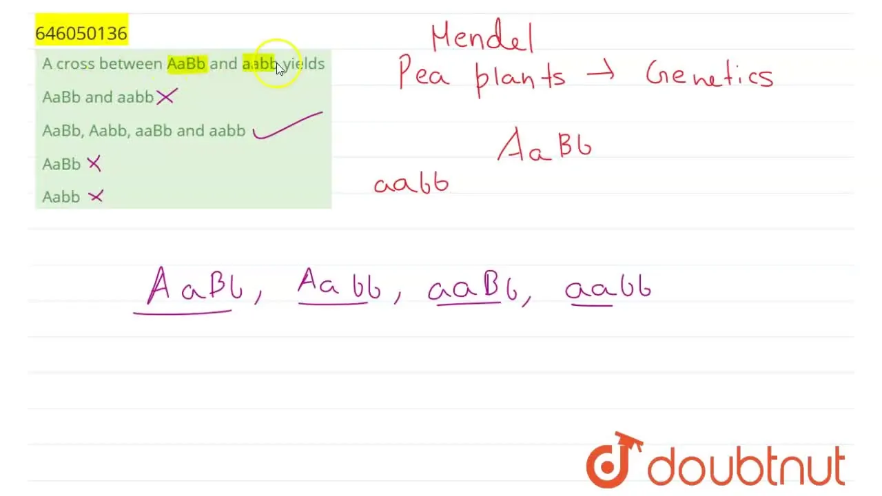 A cross between AaBb and aabb yields