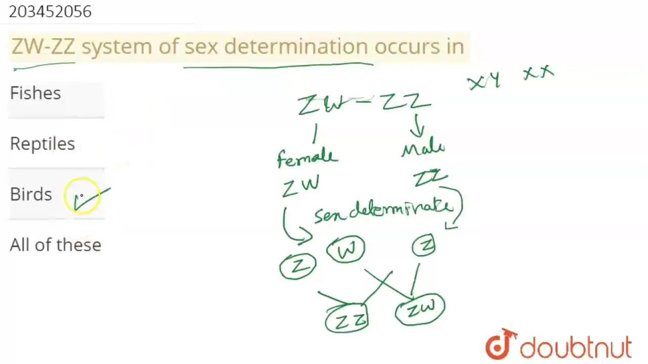 [Tamil Solution] ZW-ZZ system of sex determination occurs in