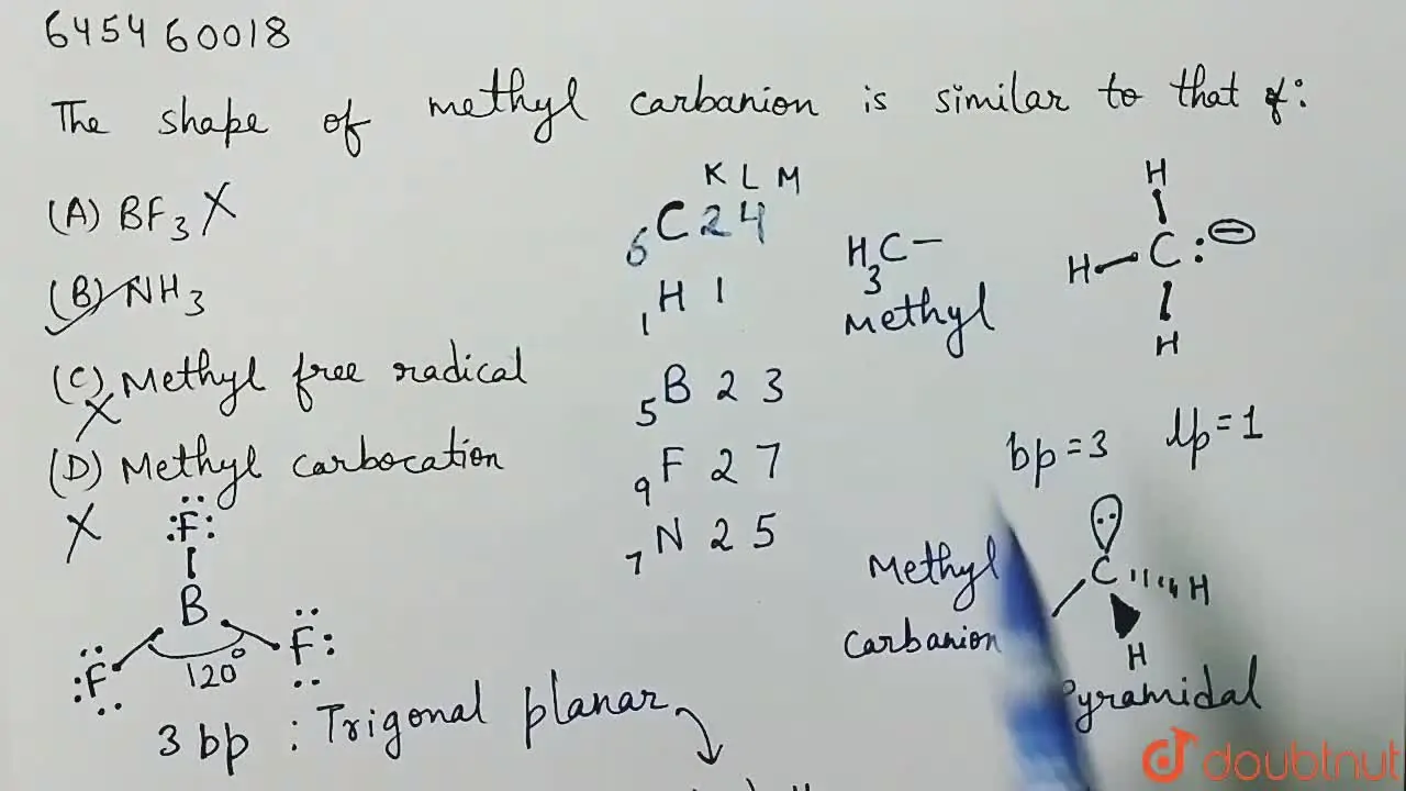 The shape of methyl carbanion is similar to that of-