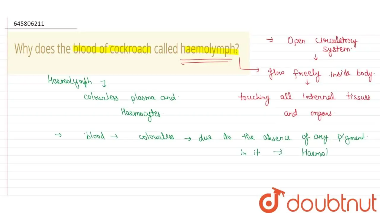 [Punjabi Solution] Why does the blood of cockroach called haemolymph?