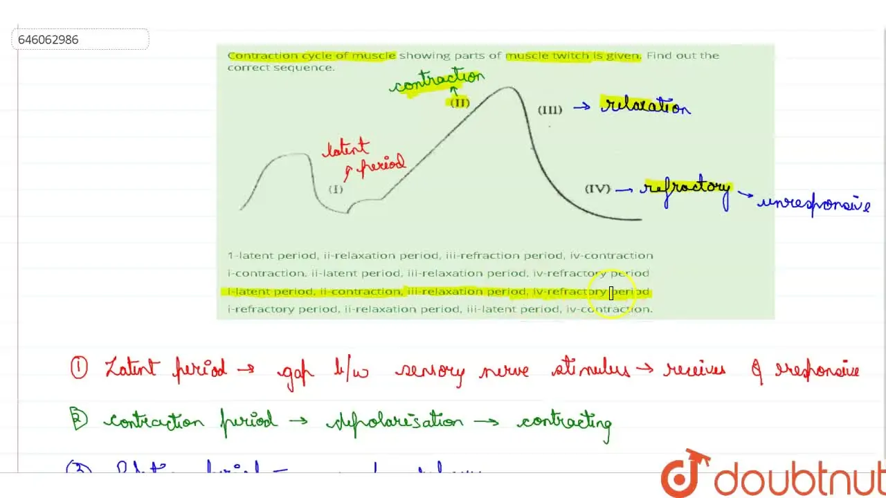 i-latent period, ii-contraction, iii-relaxation period, iv-refractory