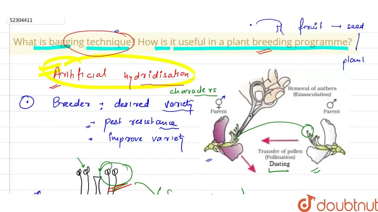 What is bagging technique? How is it useful in a plant breeding progra