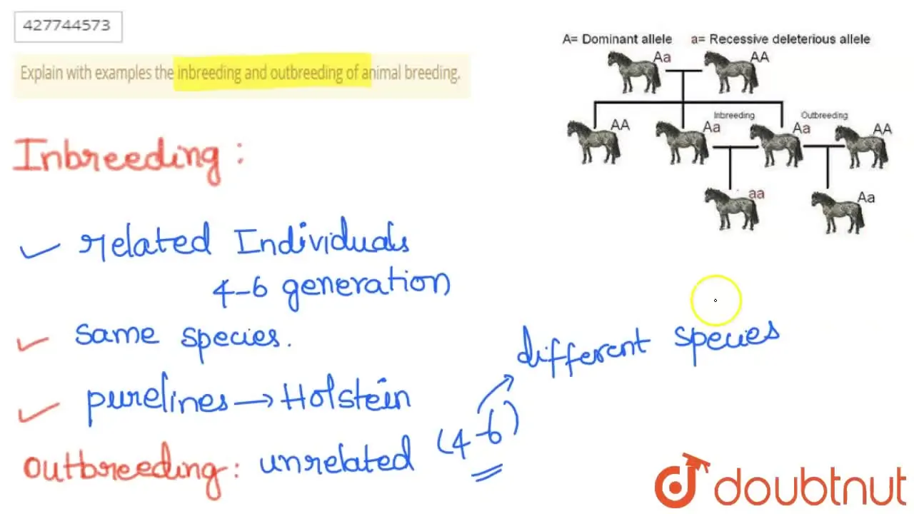 [Tamil Solution] Explain with examples the inbreeding and outbreeding