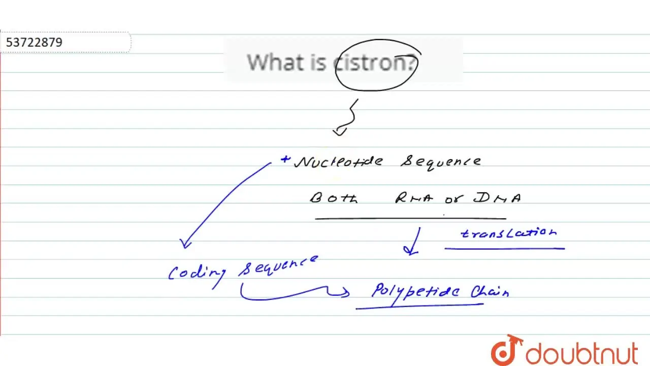 What is cistron?
