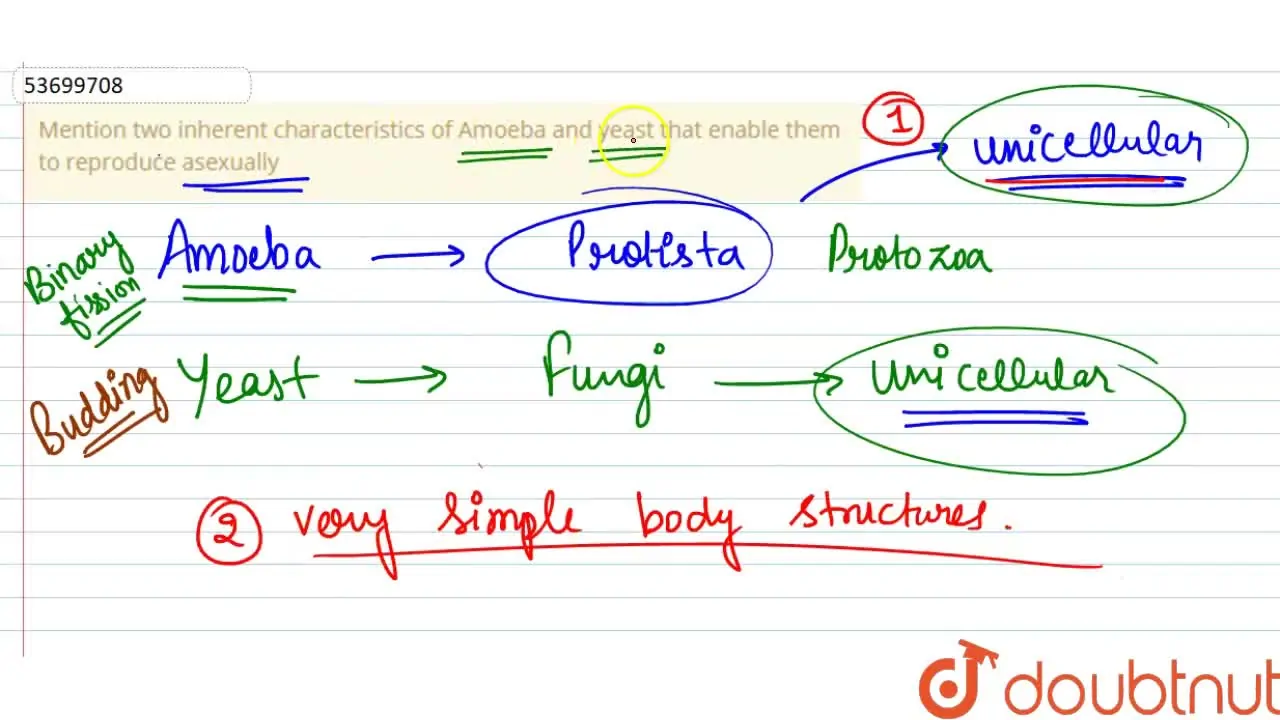 Mention two inherent characteristics of Amoeba and yeast that enable t