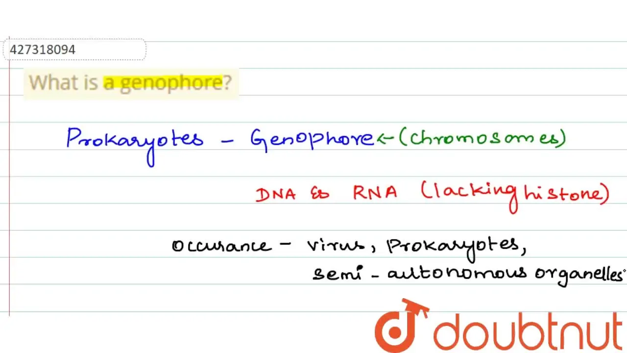 [Tamil Solution] What is a genophore?