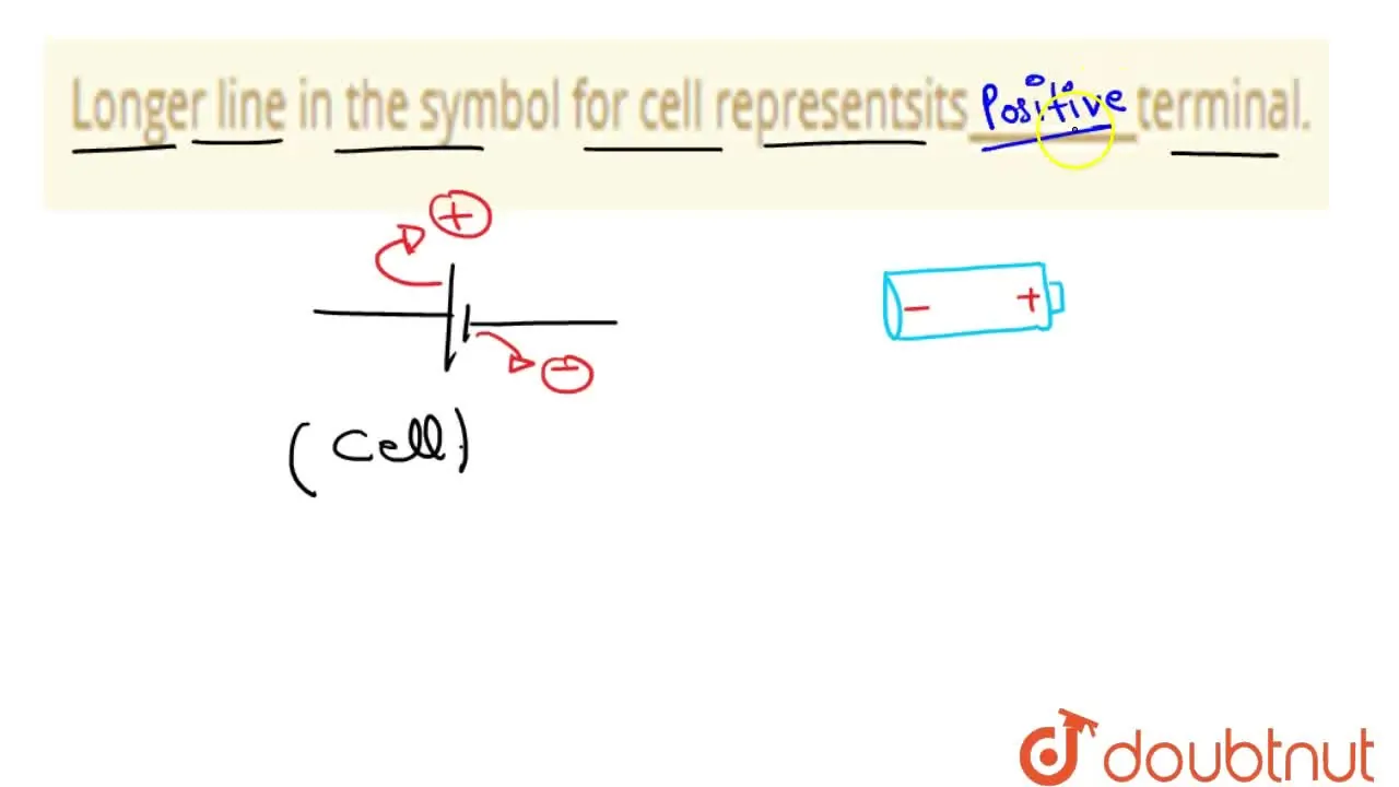 Longer line in the symbol for cell representsitsterminal.