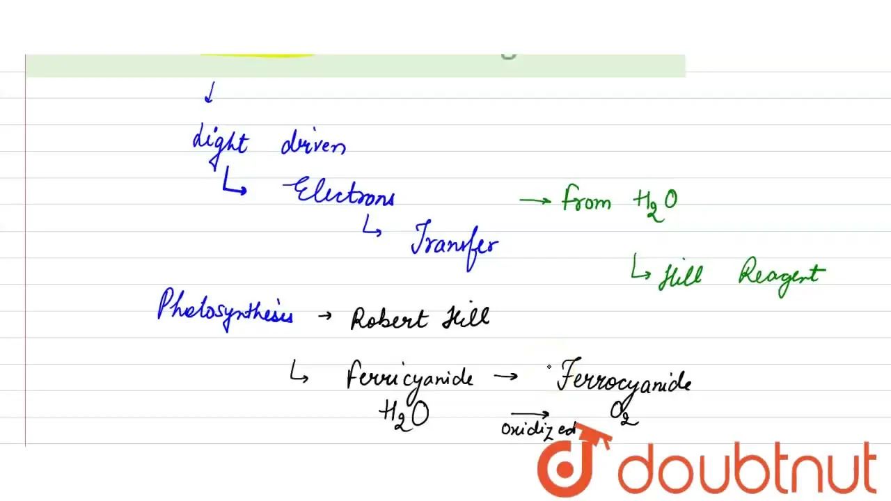 [Punjabi Solution] Describe Hill reaction. What is its significance?
