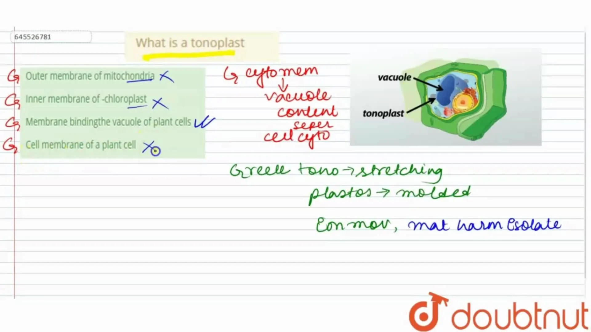 [Bengali Solution] What is a tonoplast