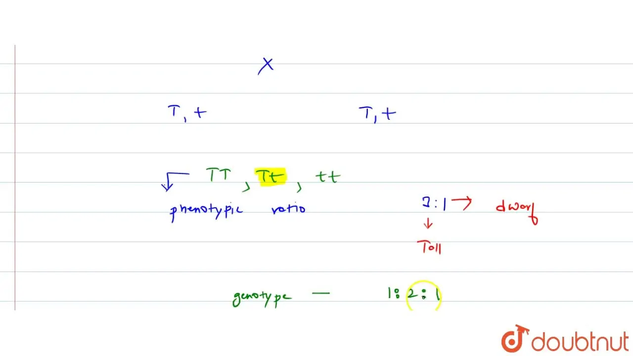 What is Mendal's monohybrid ration?