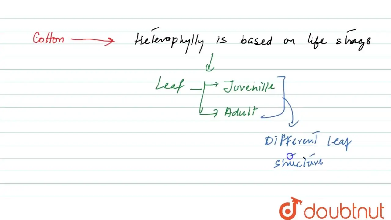 [Assamese Solution] Name the type of heterophylly shown by: cotton