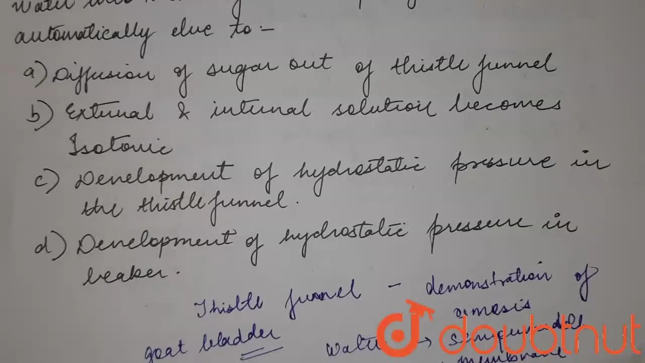 Development of hyrostatic pressure in the thistle funnel