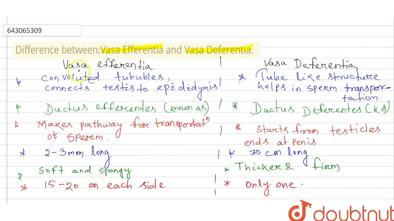[Odia Solution] Difference between:Vasa Efferentia and Vasa Deferentia