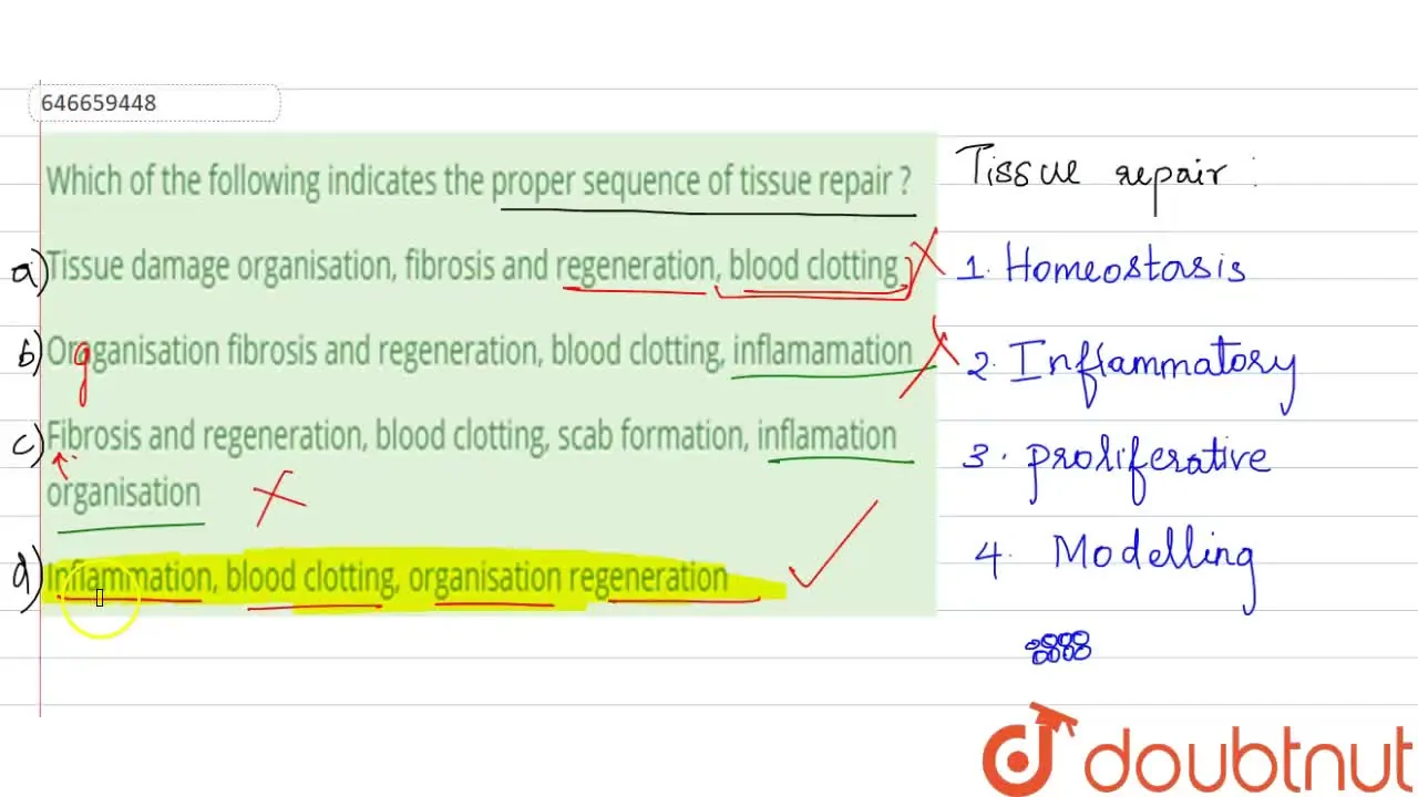 Fibrosis and regeneration, blood clotting, scab formation, inflamation