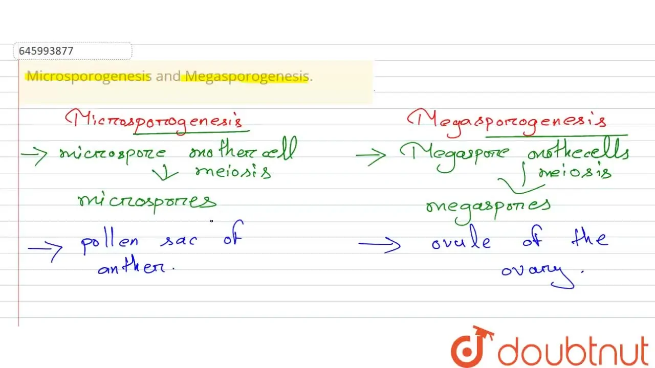 [Odia Solution] Microsporogenesis and Megasporogenesis.