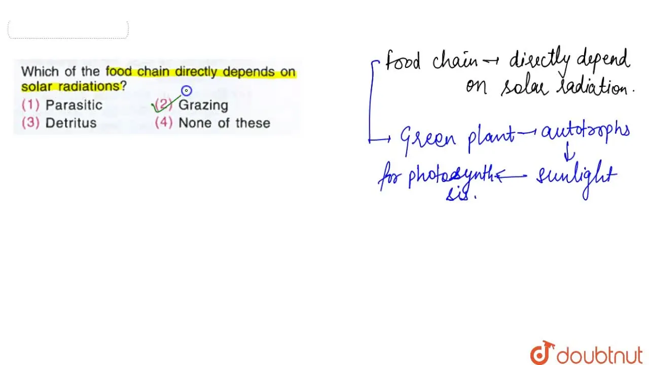 Putrefying organisms are