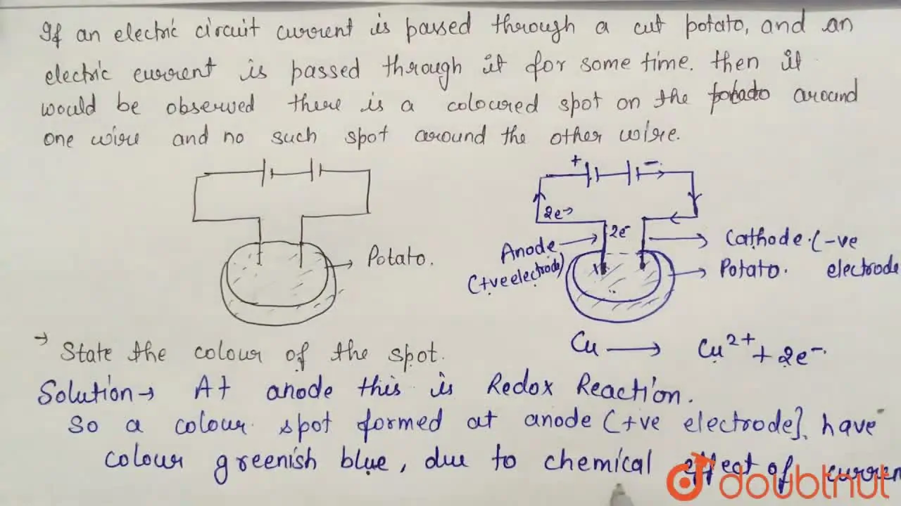If an electric current is passed through.a cut potato and an electric