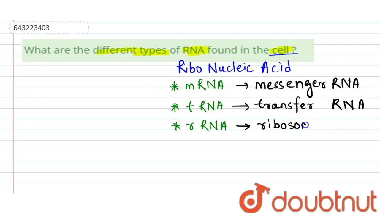 [Odia] What are the different types of RNA found in the cell