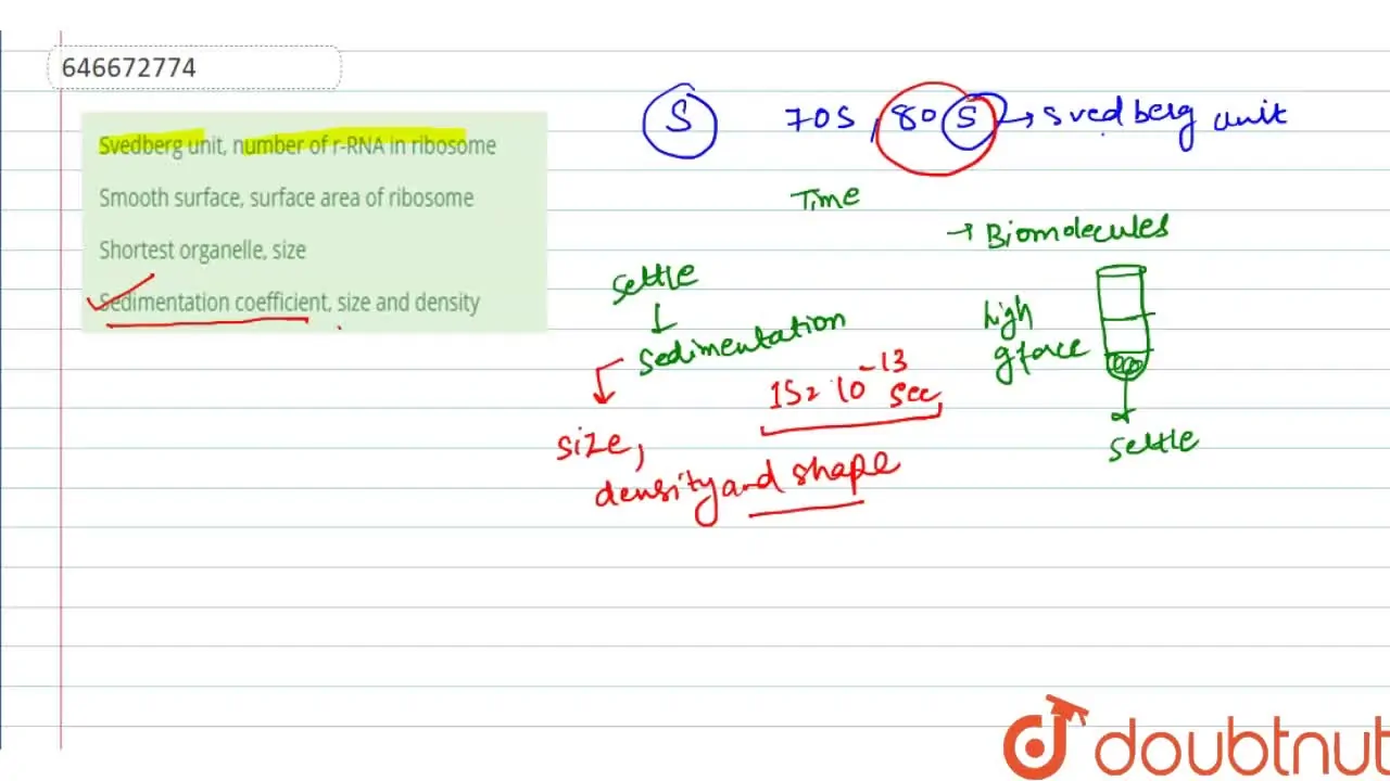 Svedberg unit, number of r-RNA in ribosome